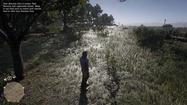 Red Dead Redemption 2 Review - W2Mnet